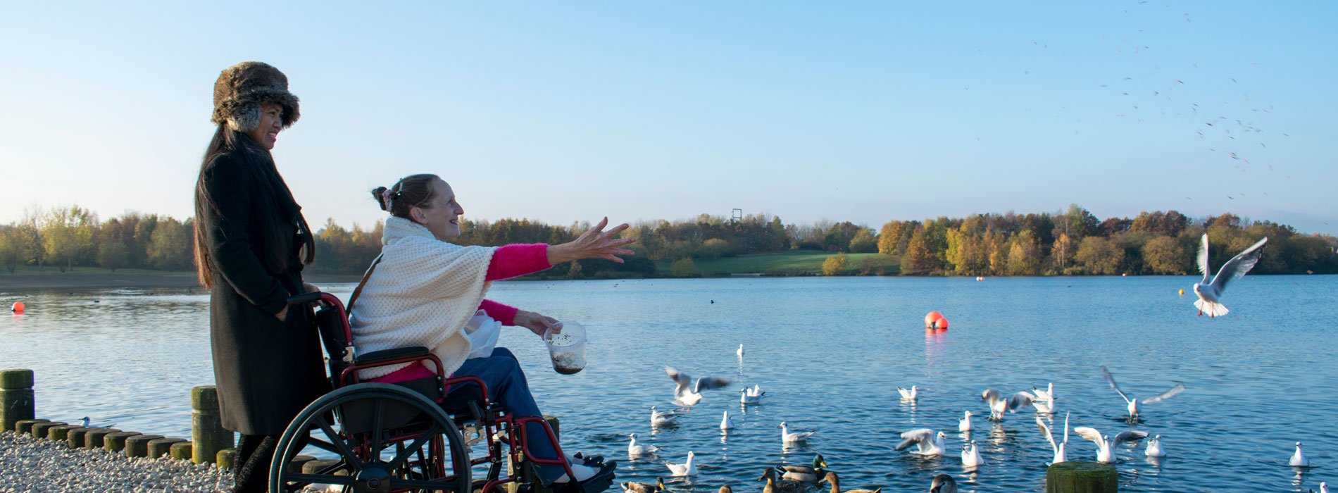 Disability services - TAUS Care